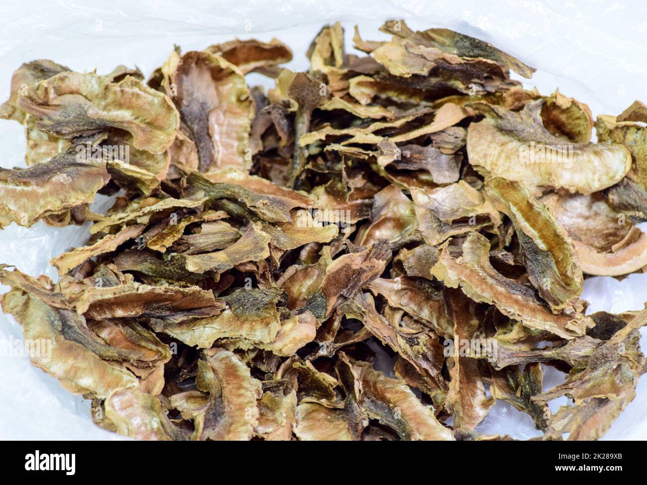 Walnut partitions. Part of the nut, fetal septum Stock Photo - Alamy