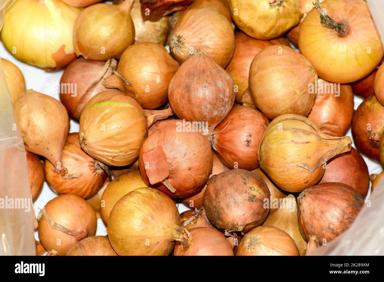 Skin of onion hi-res stock photography and images - Alamy