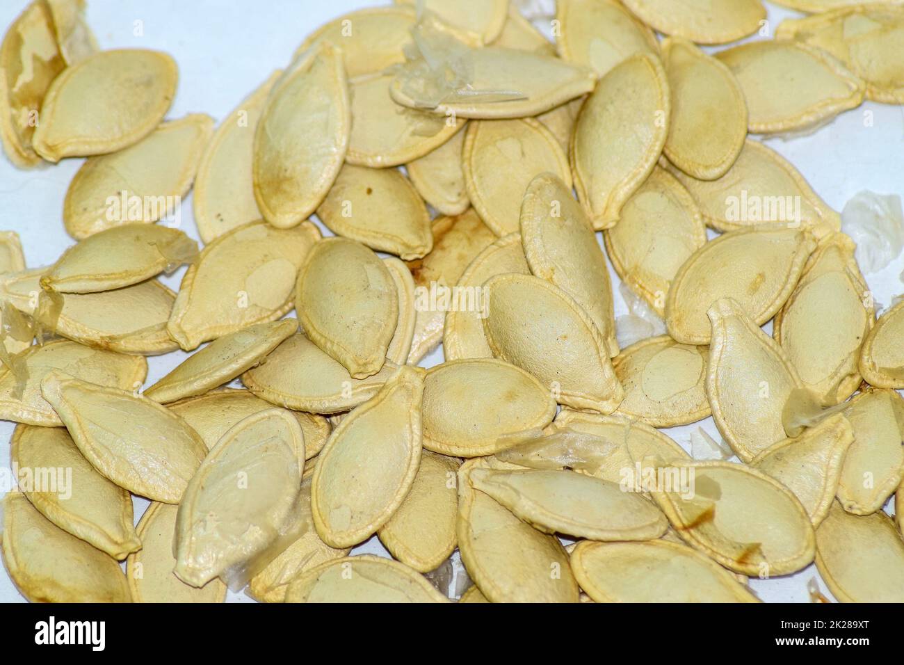 Seeds of zucchini on white background. Courgettes Stock Photo - Alamy