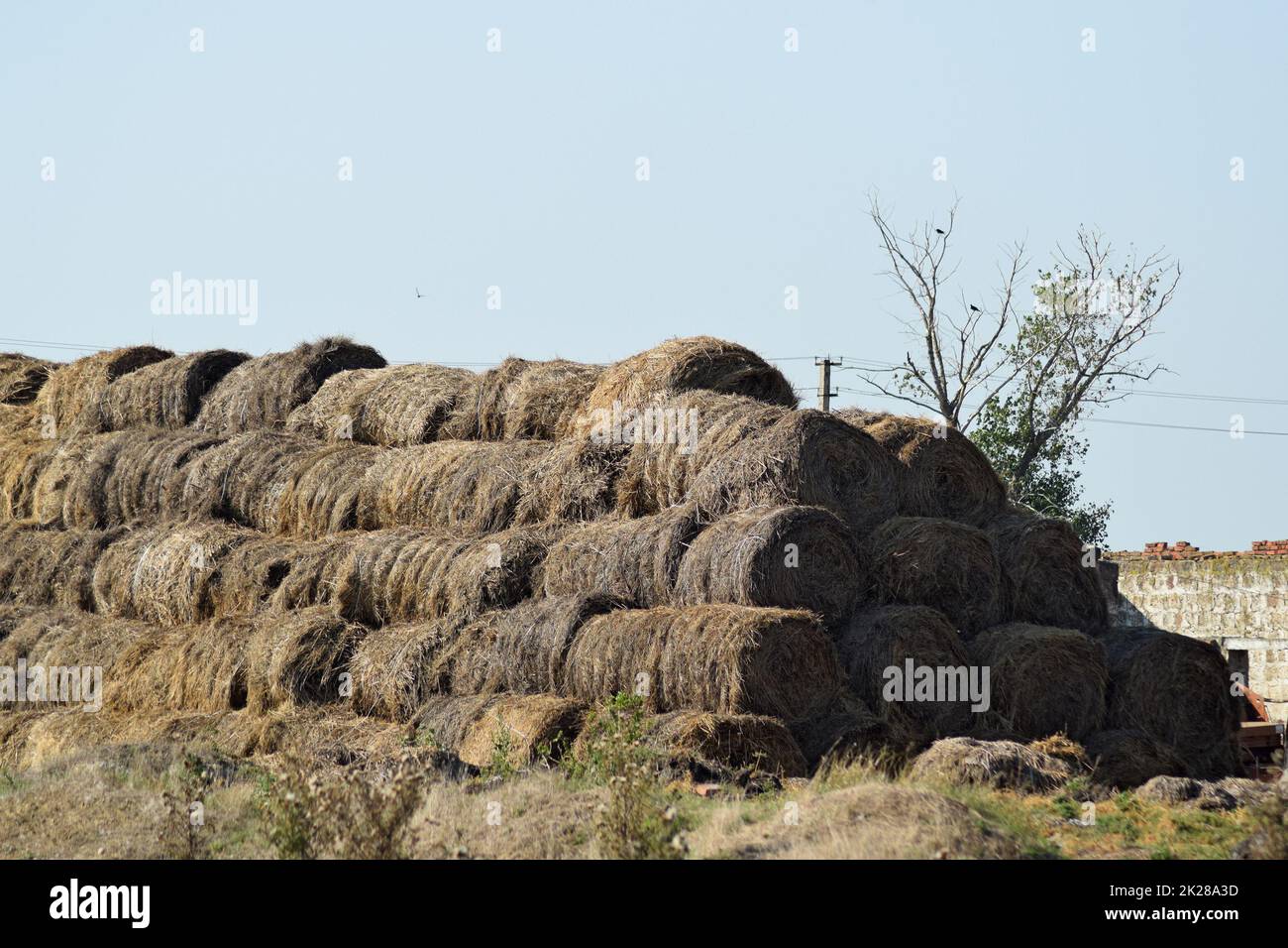 Yellow haystacks hi-res stock photography and images - Alamy