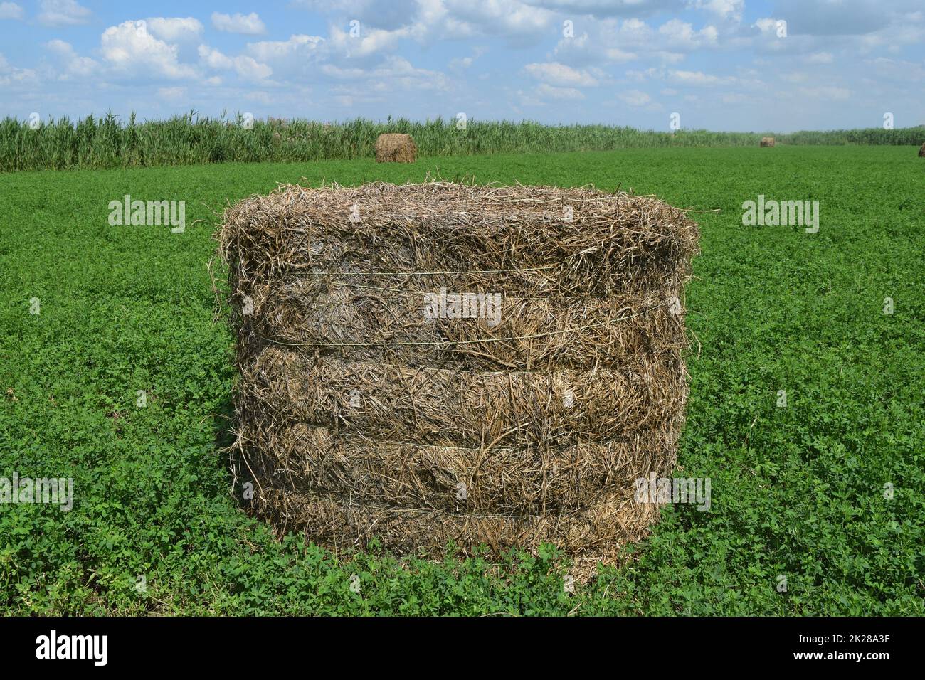 Hay bales sloping field hi-res stock photography and images - Alamy