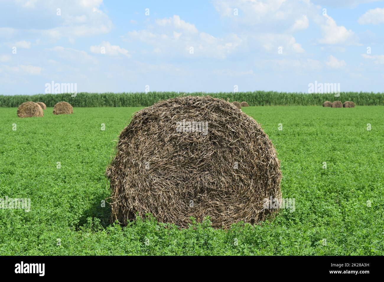 Hay bales sloping field hi-res stock photography and images - Alamy