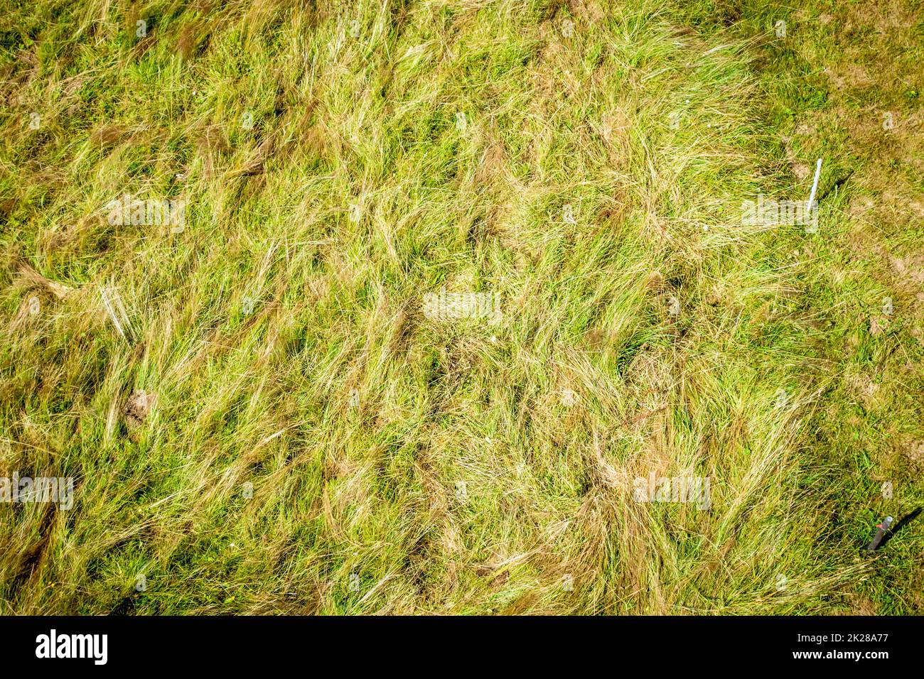Aerial view of a field Stock Photo - Alamy