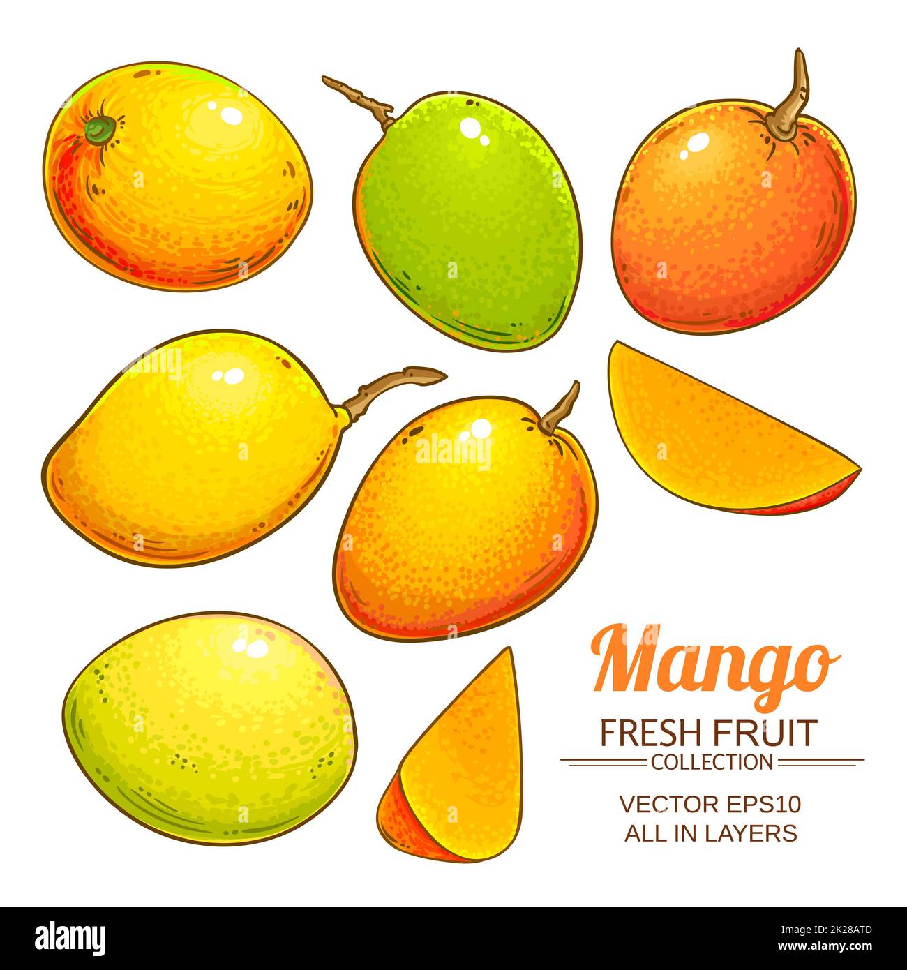 mango fruit vector isolated on white background Stock Photo - Alamy