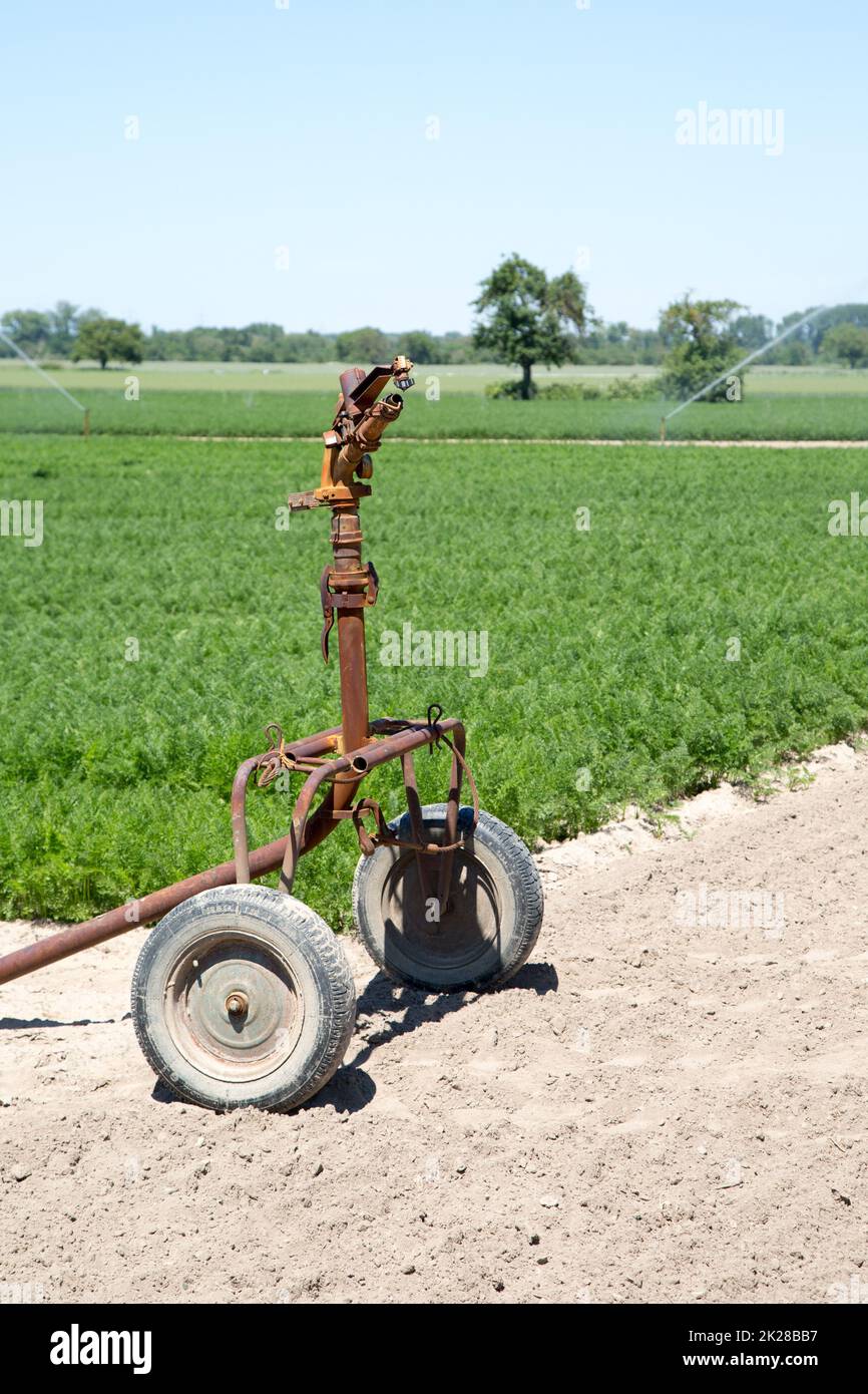 Irrigation is the supply of water to a cultivated land Stock Photo - Alamy