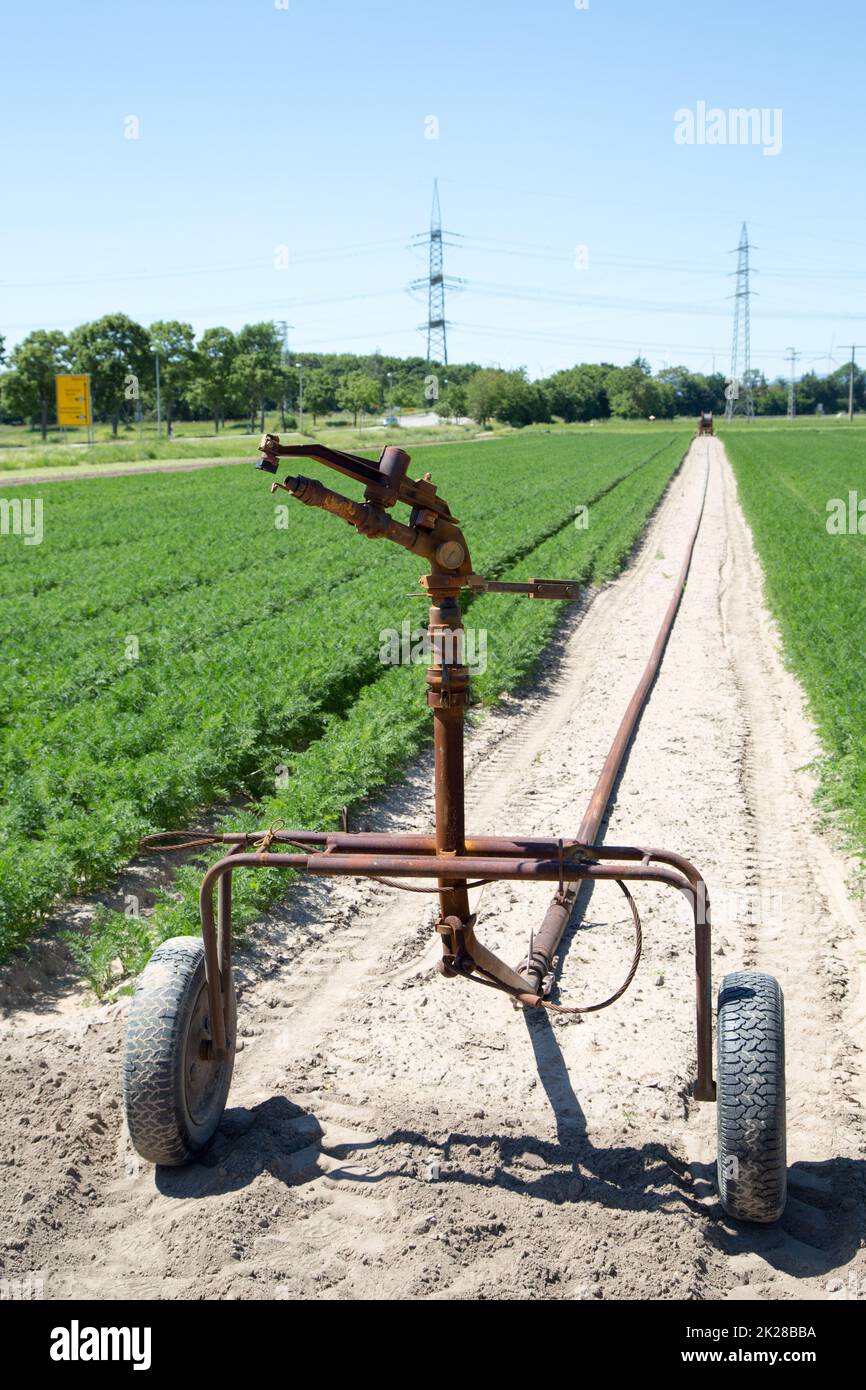 Irrigation is the supply of water to a cultivated land Stock Photo - Alamy