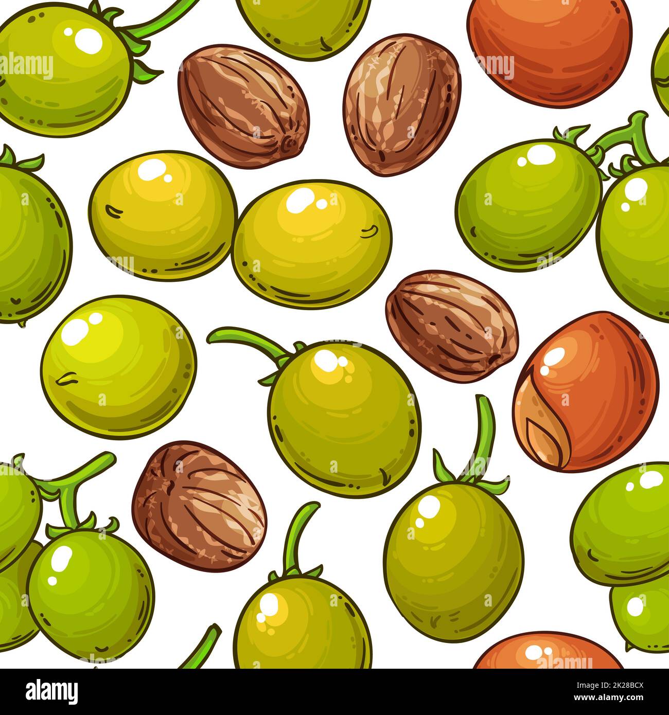shea nuts vector pattern on white background Stock Photo - Alamy