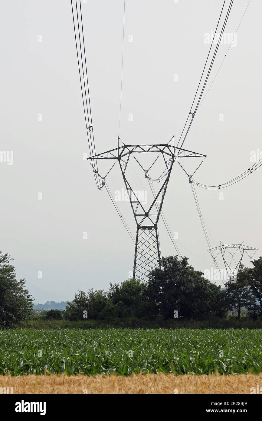 pylon of high voltage electricity cables and wheat field with ripe ...