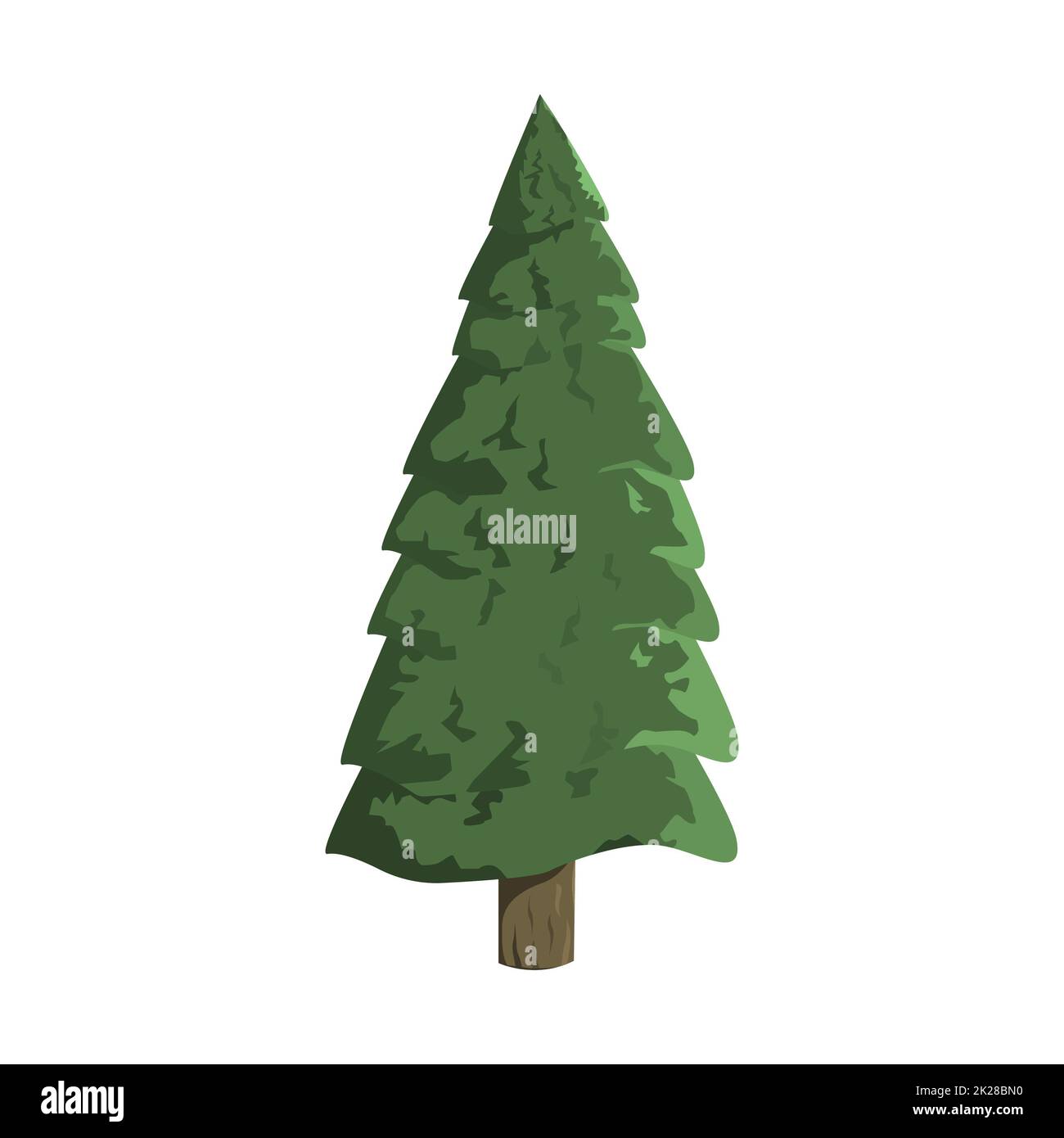 Realistic green spruce isolated on white background - Vector Stock ...