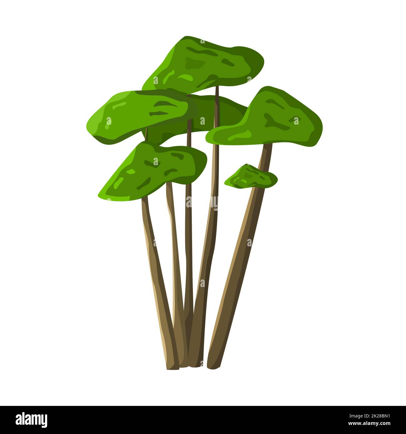 Realistic green bushes on white background - Vector Stock Photo - Alamy