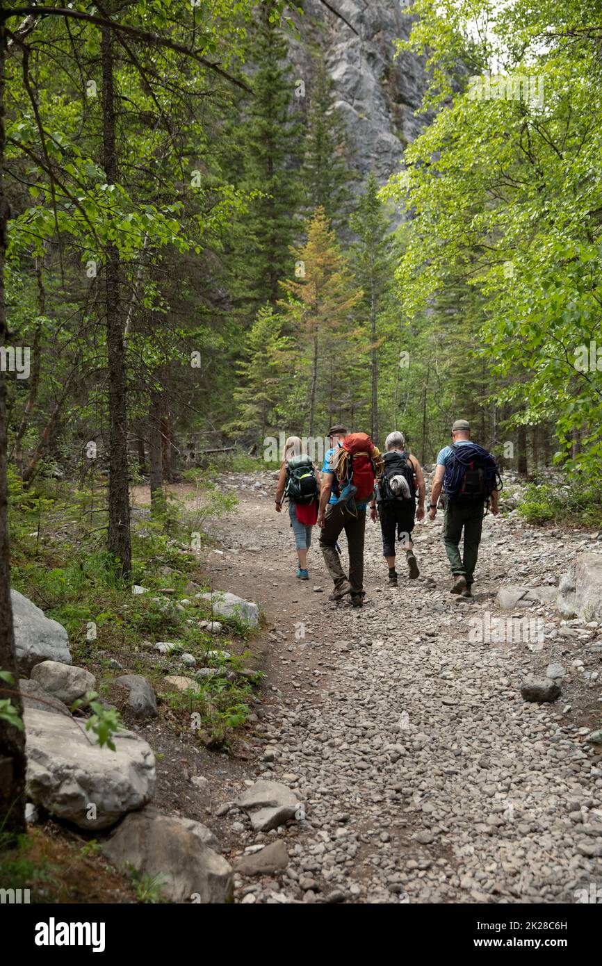 Senior women climbing trees hi-res stock photography and images - Alamy