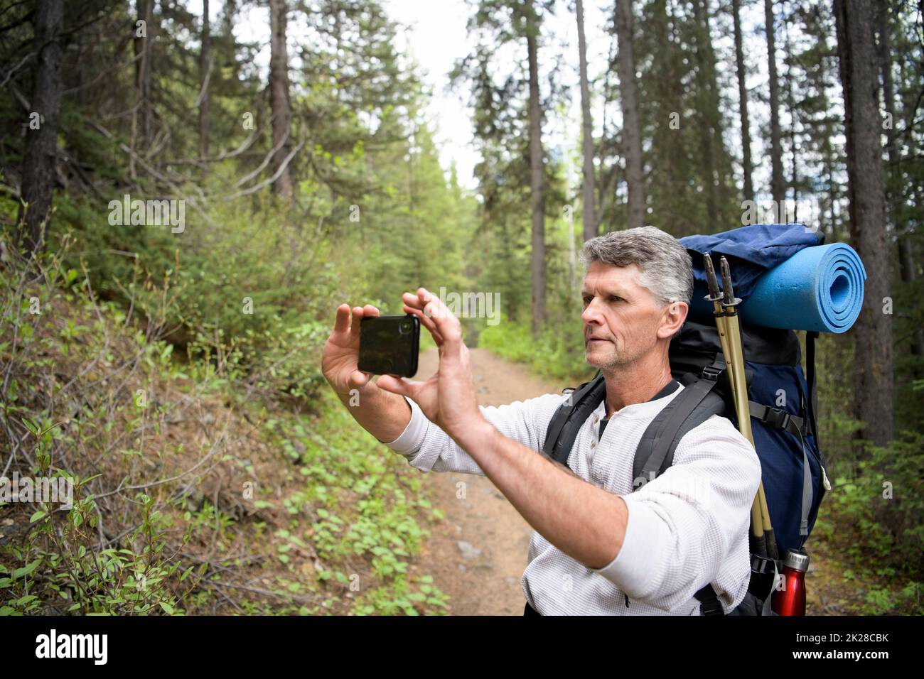 Using the woods hi-res stock photography and images - Alamy