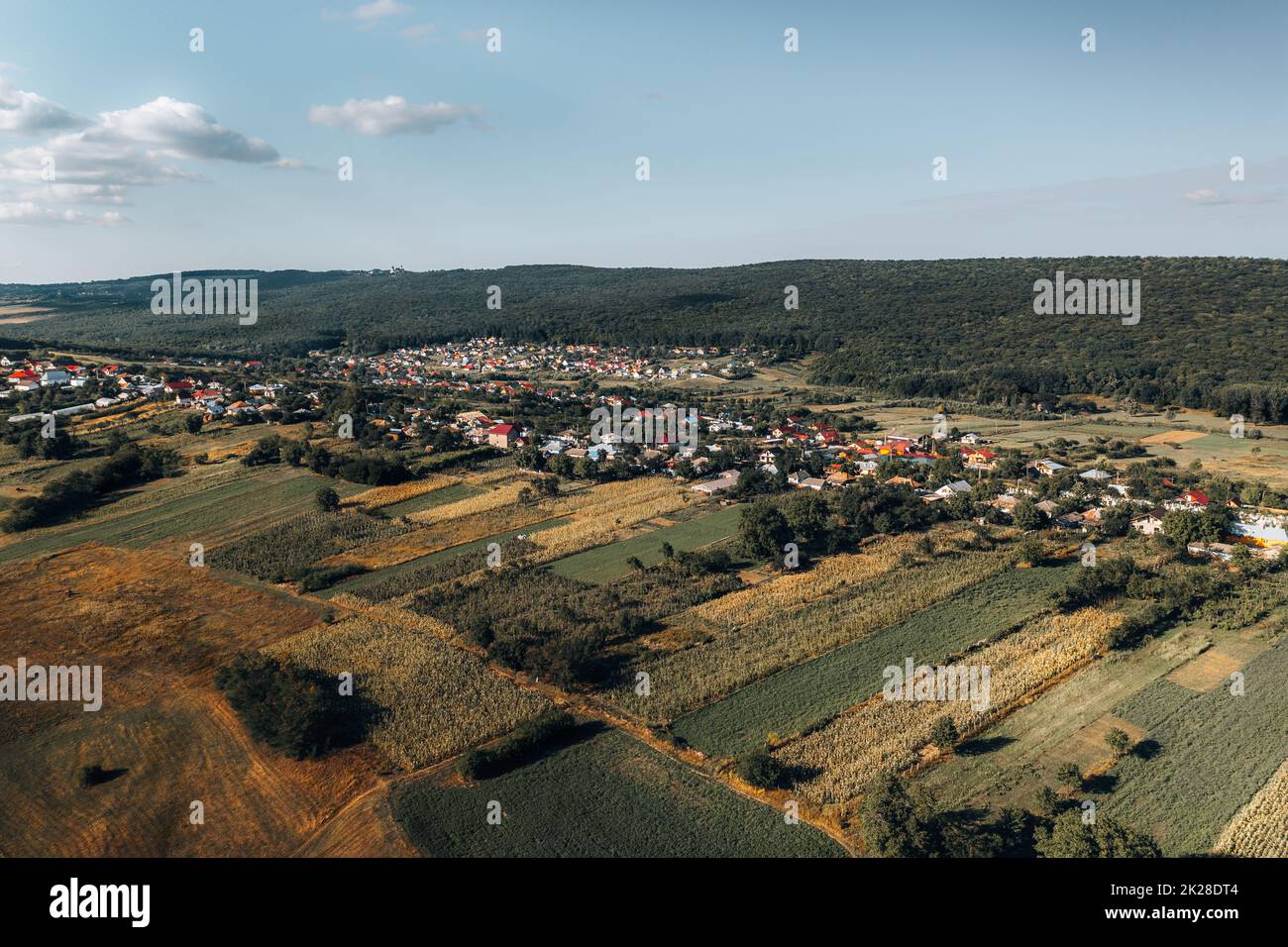 Aerial rural village landscape with yellow patched agriculture fields ...