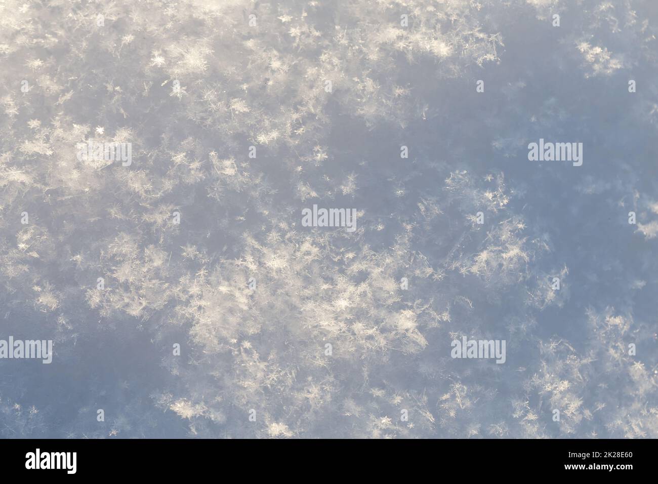 Pure freeze hi-res stock photography and images - Alamy