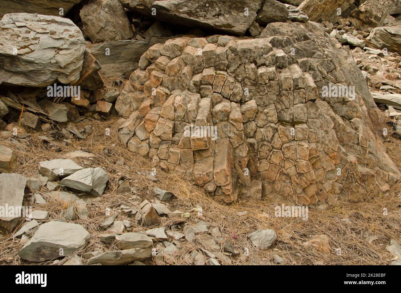 Rock with hexagonal basalt columns Stock Photo - Alamy Rock with hexagonal basalt columns Stock Photo - Alamy