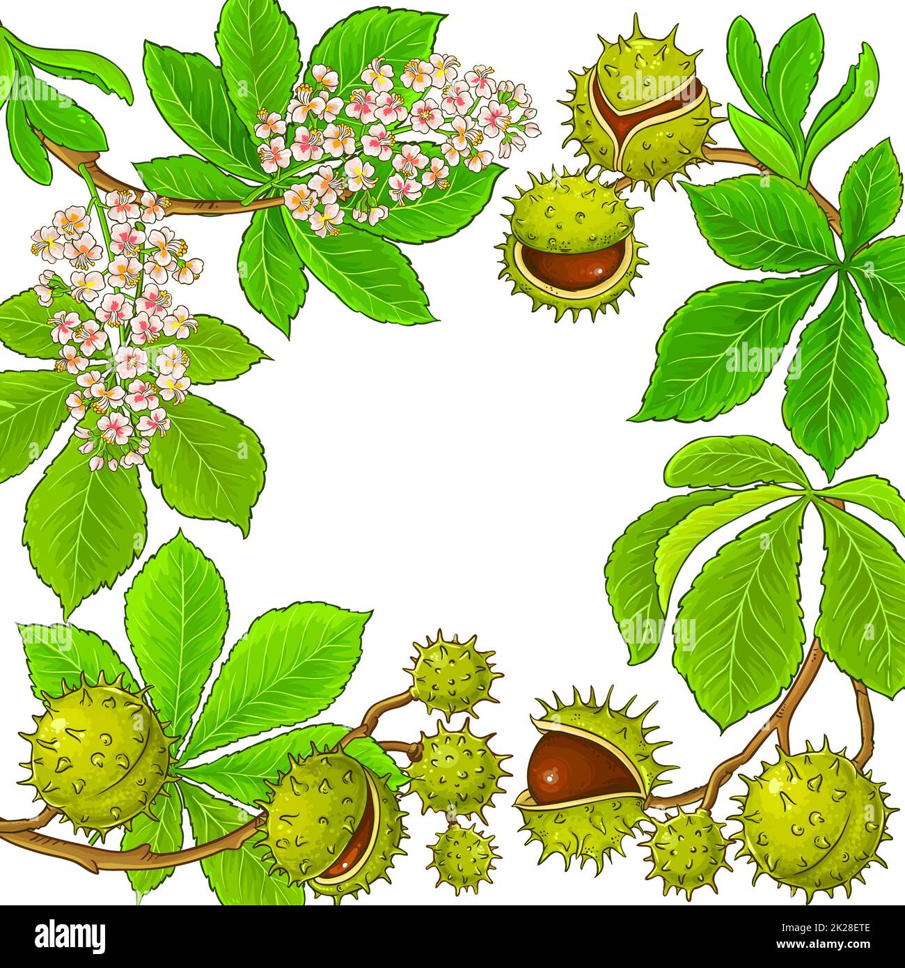 Vector round frame fall hi-res stock photography and images - Alamy