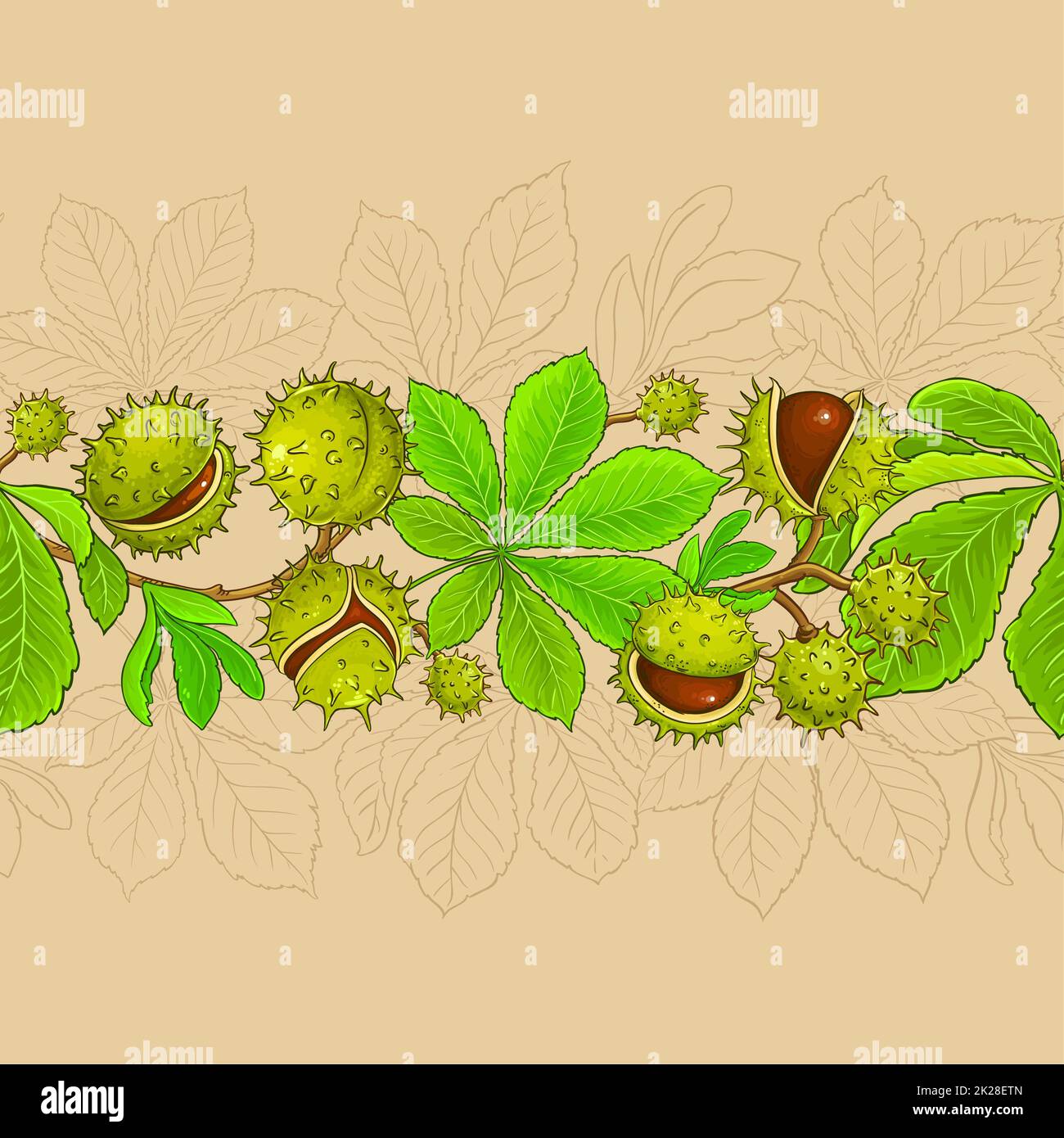 chestnut plant vector pattern on color background Stock Photo - Alamy