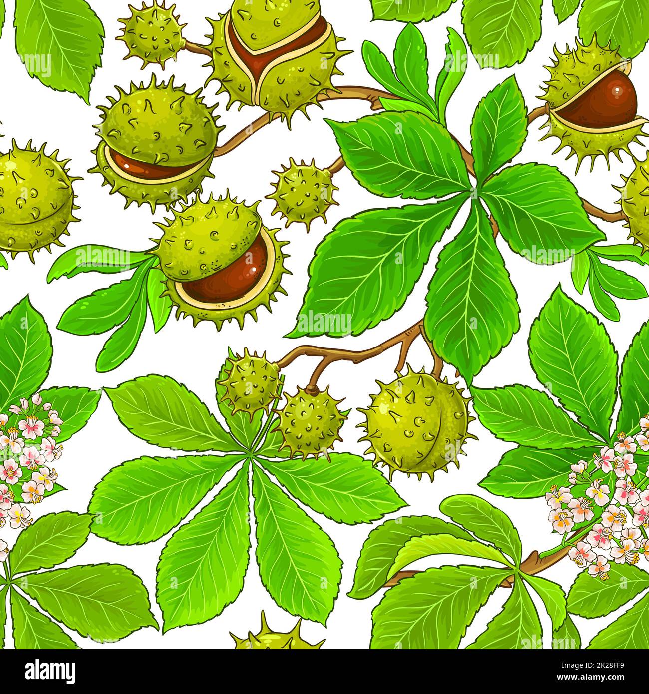 chestnut vector pattern on white background Stock Photo - Alamy