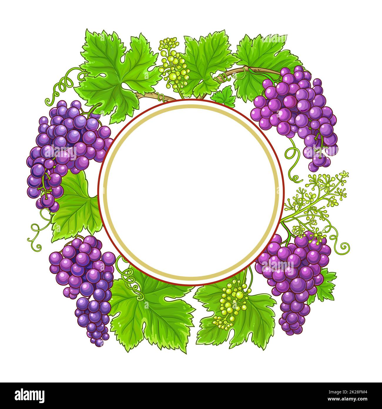 Black grapes on branches hi-res stock photography and images - Alamy