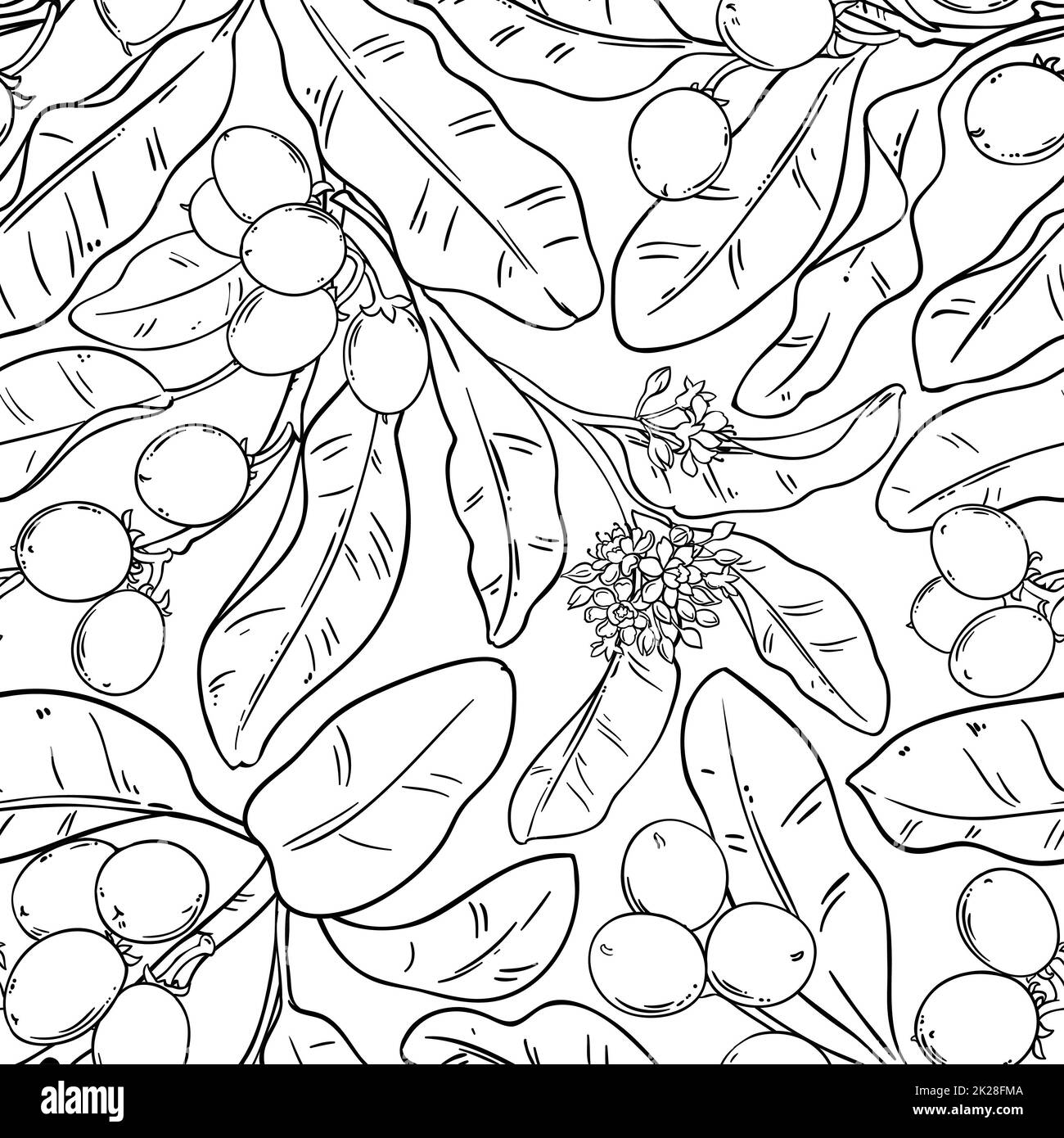 shea branches vector pattern on white background Stock Photo - Alamy