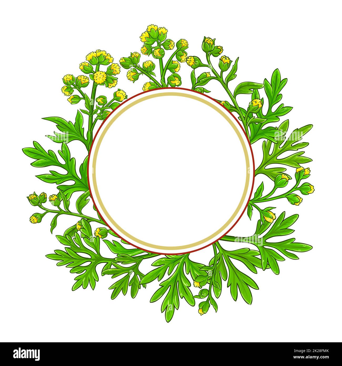 wormwood plant circle frame on white background Stock Photo - Alamy