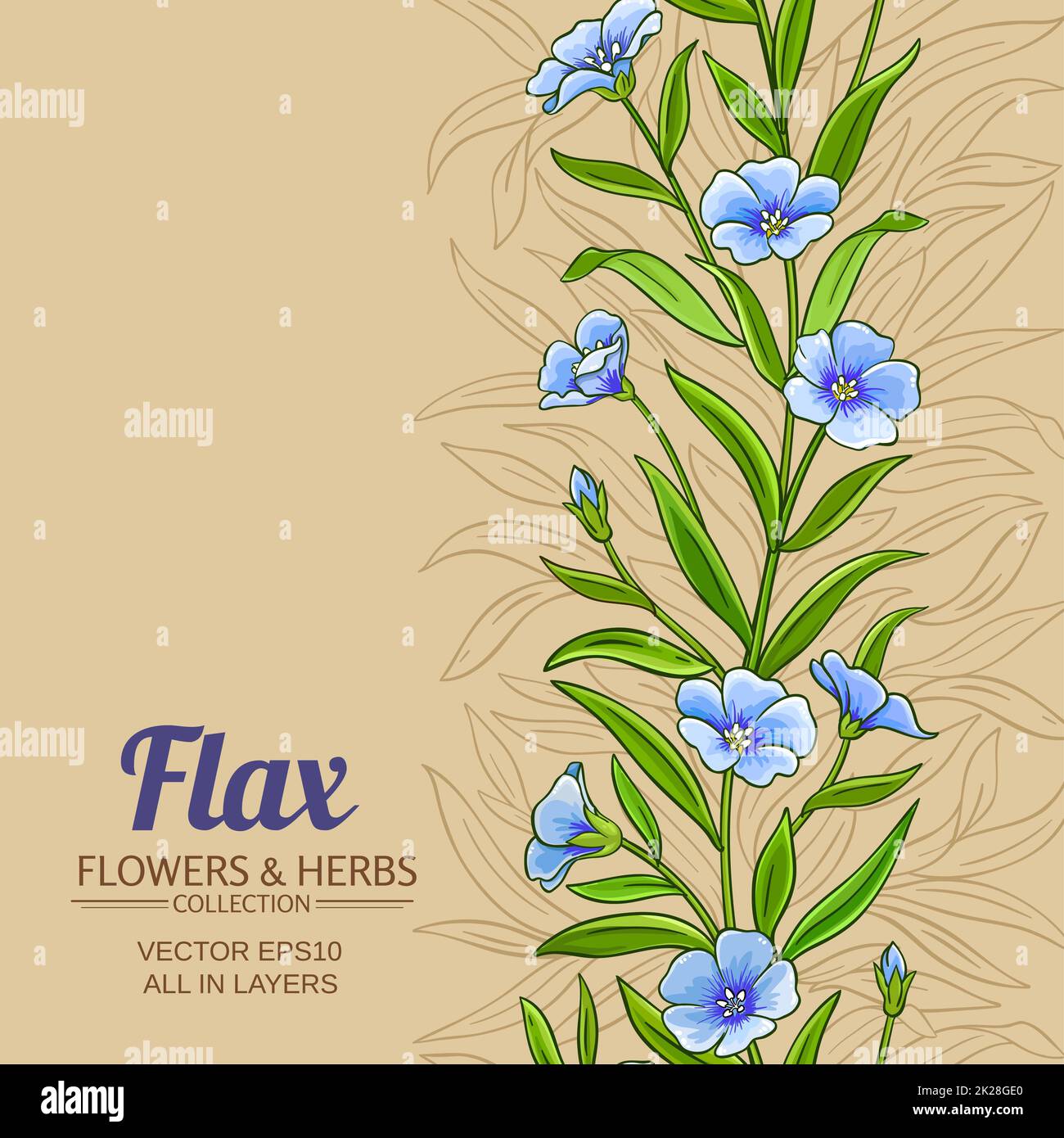 flax plant vector pattern on color background Stock Photo - Alamy