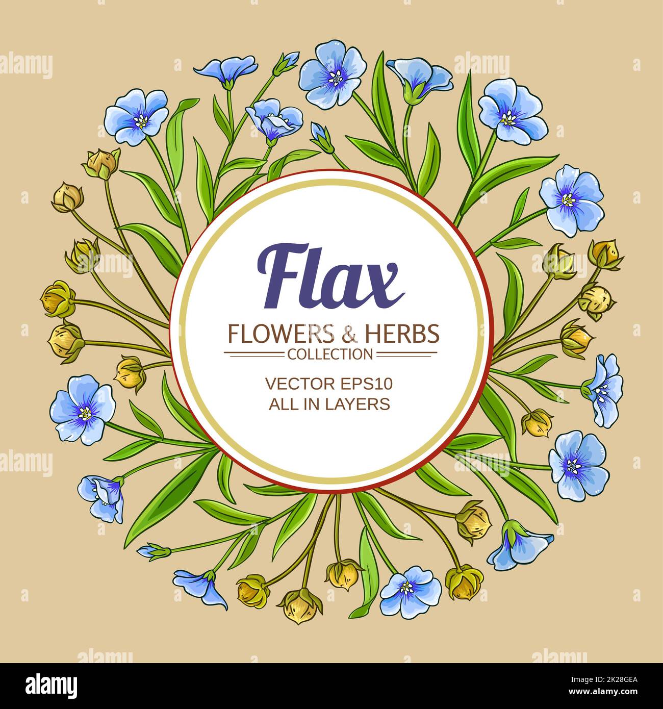 flax vector frame on color background Stock Photo - Alamy