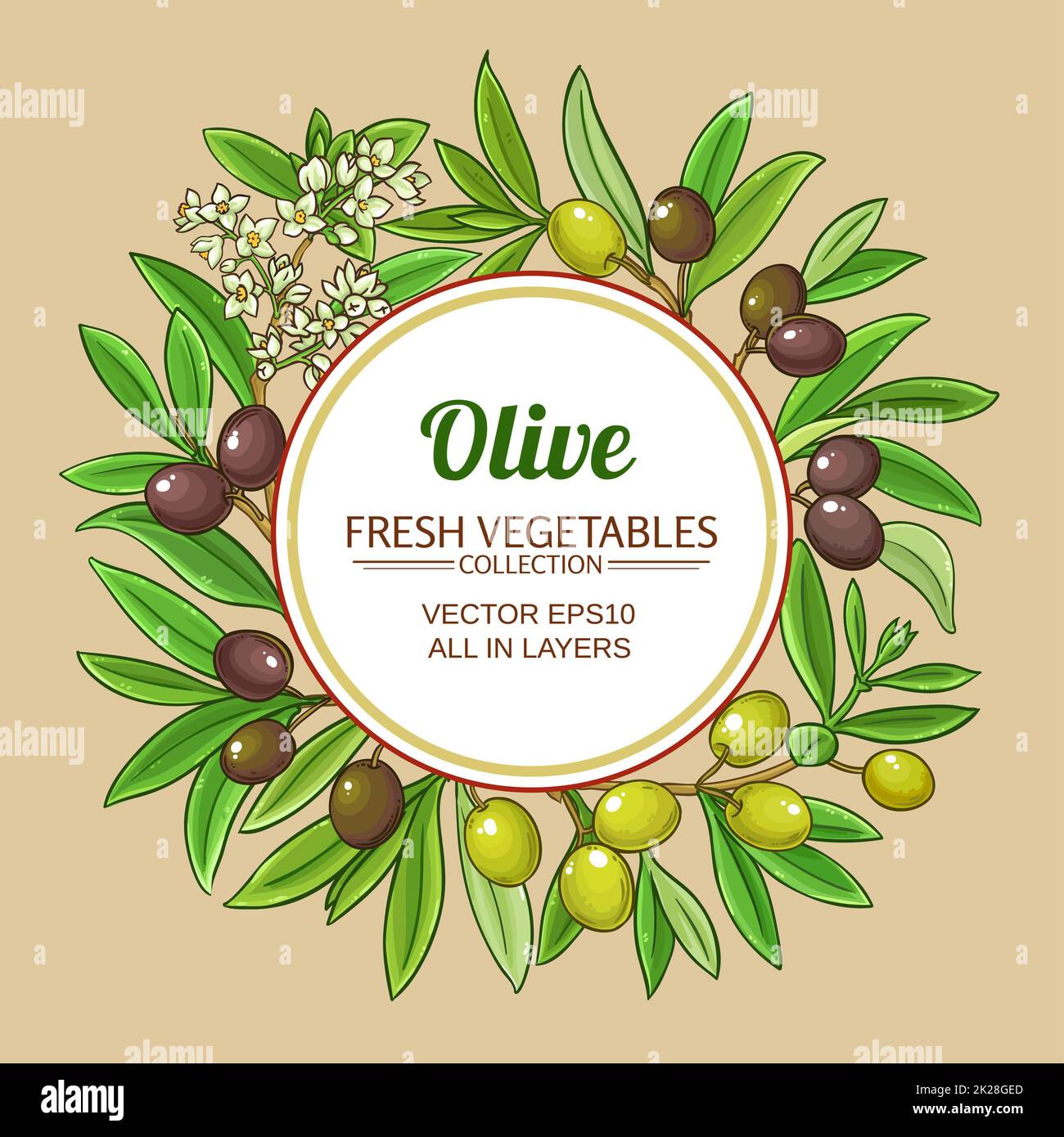 olive vector frame Stock Photo - Alamy