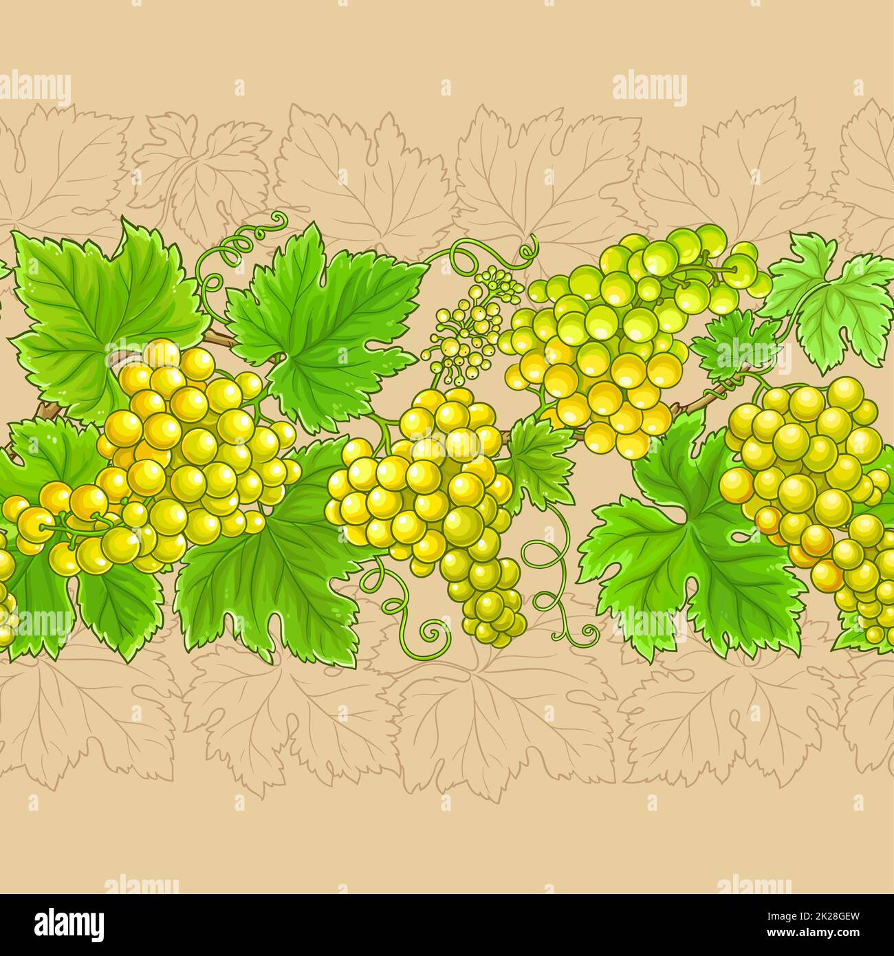 Pattern with branches hi-res stock photography and images - Alamy