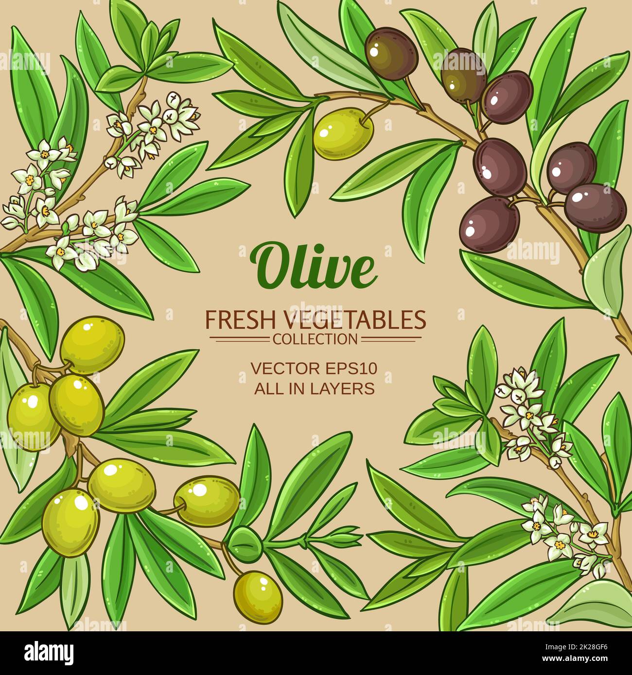 Olive frame hi-res stock photography and images - Alamy