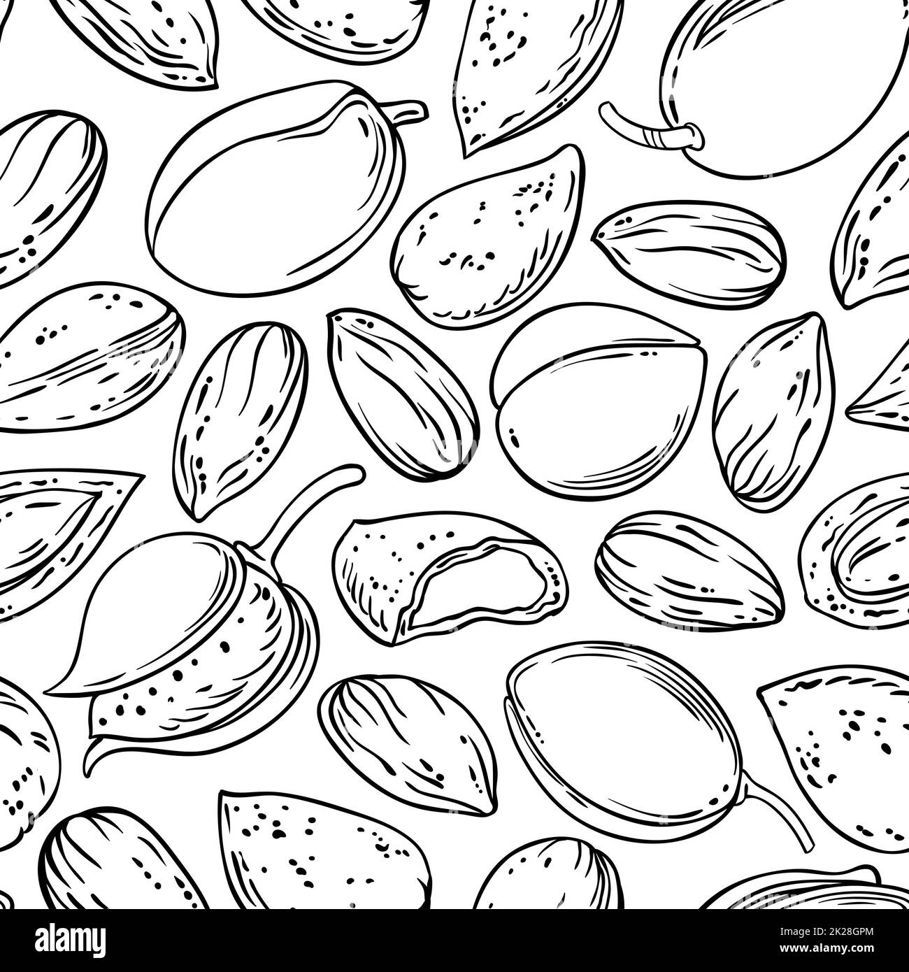 almond nuts vector pattern on white background Stock Photo - Alamy