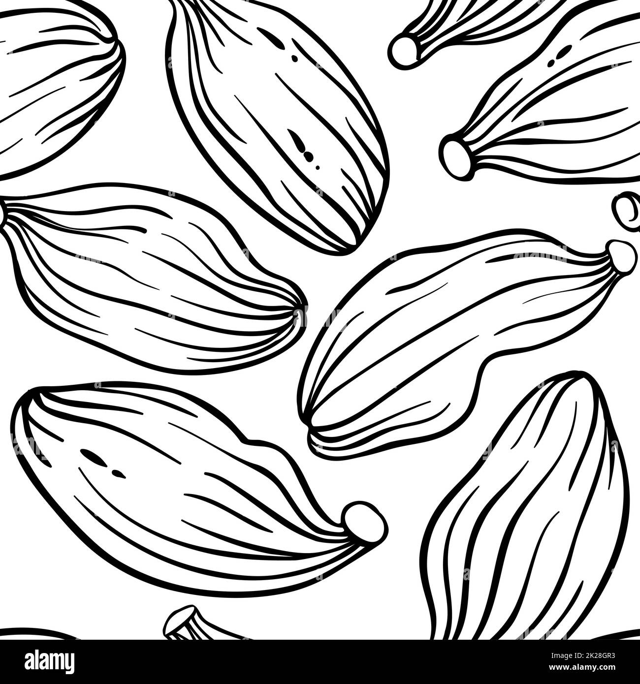 cardamom seeds vector pattern on white background Stock Photo - Alamy