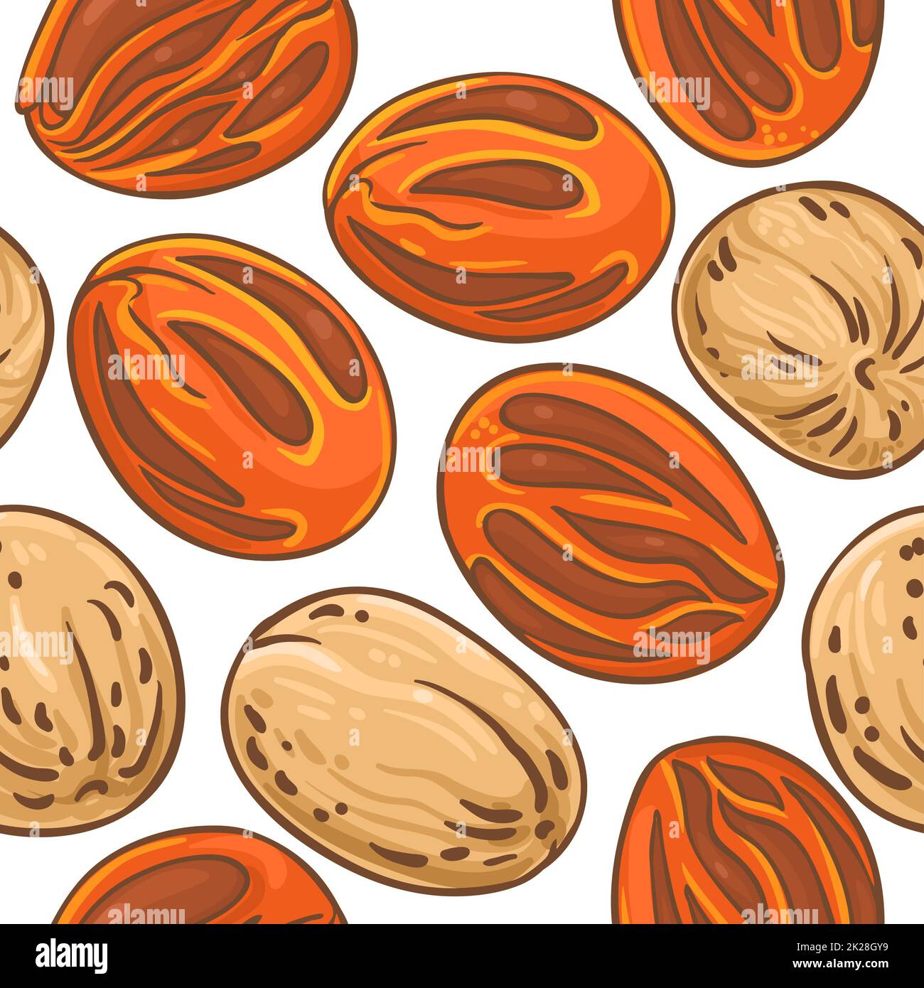 nutmeg nuts vector pattern on white background Stock Photo - Alamy