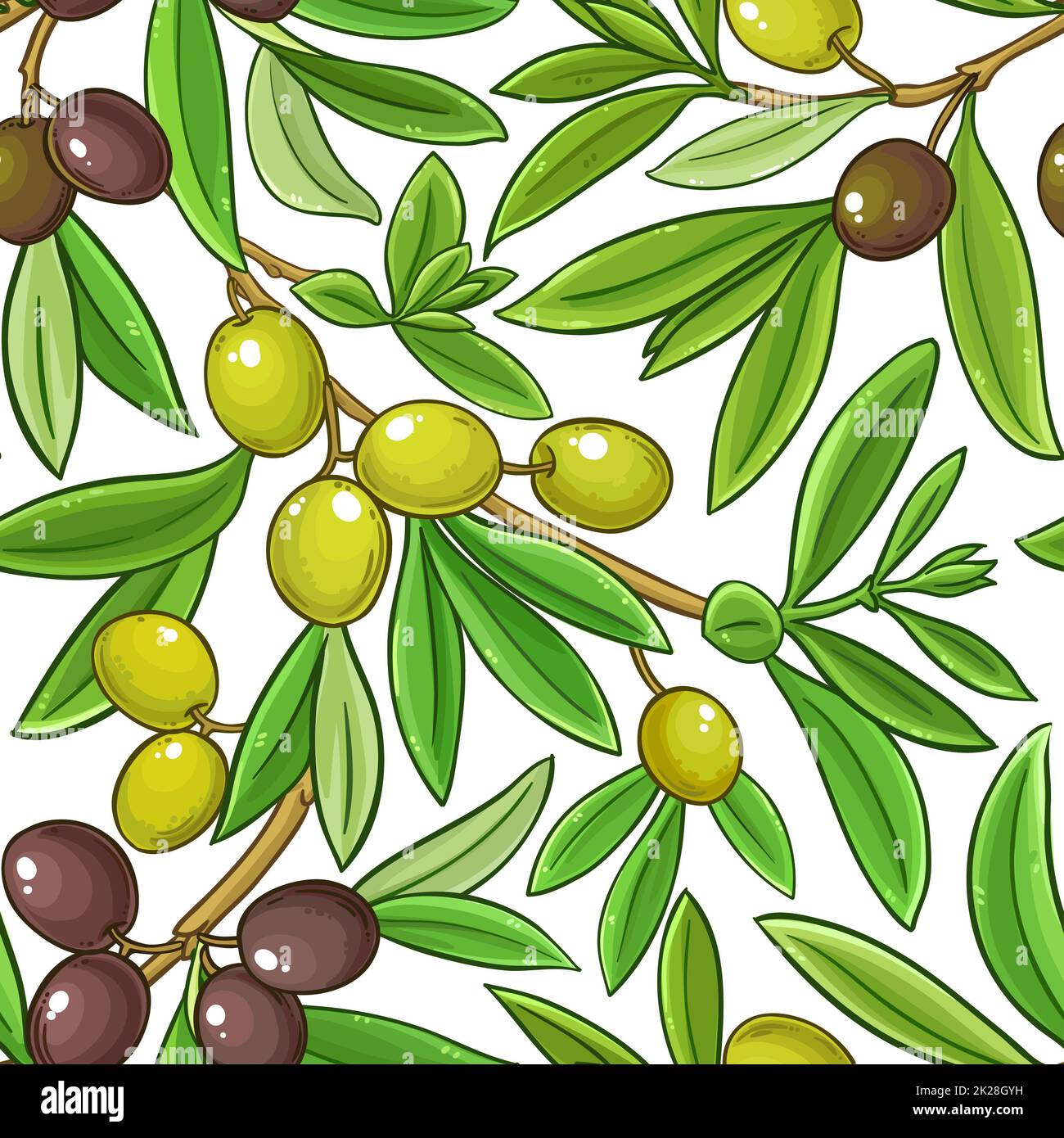 olive fruits vector pattern on white background Stock Photo - Alamy