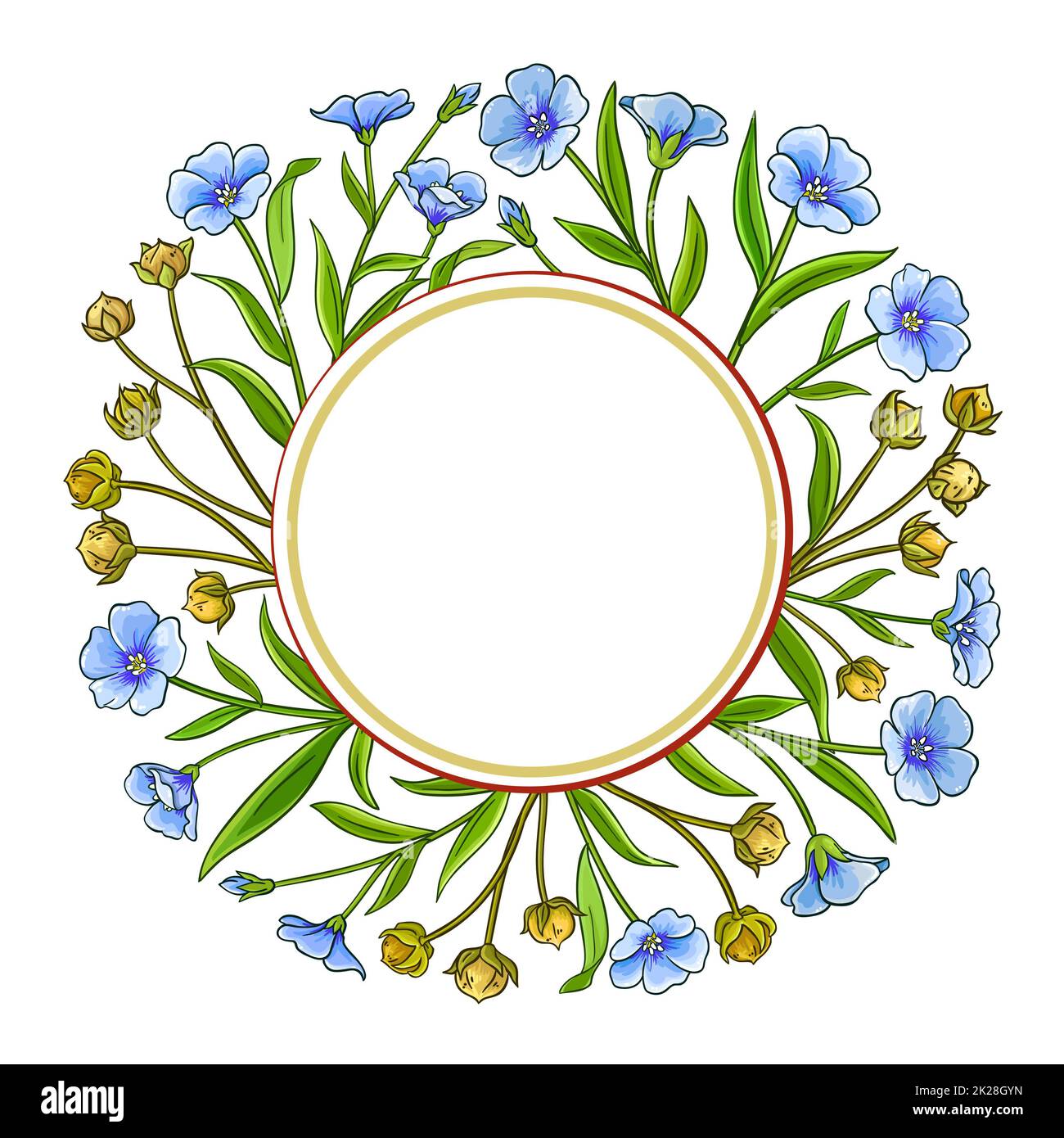 flax plant vector frame on white background Stock Photo - Alamy