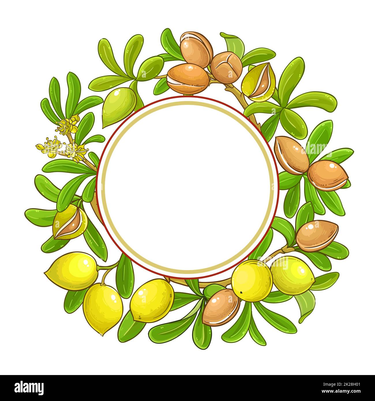 argan branches vector frame on white background Stock Photo - Alamy