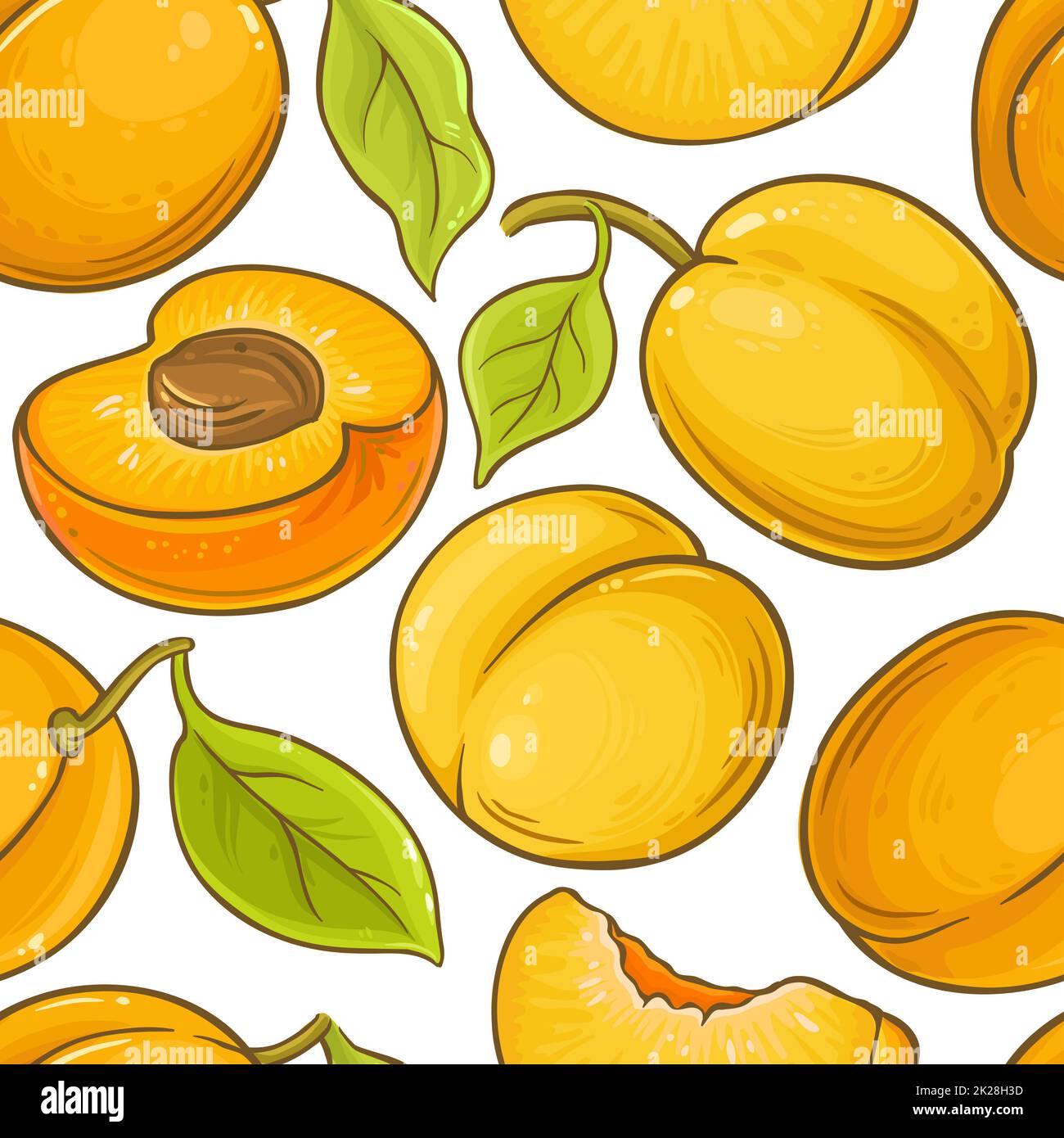 apricot fruit vector pattern on white background Stock Photo - Alamy