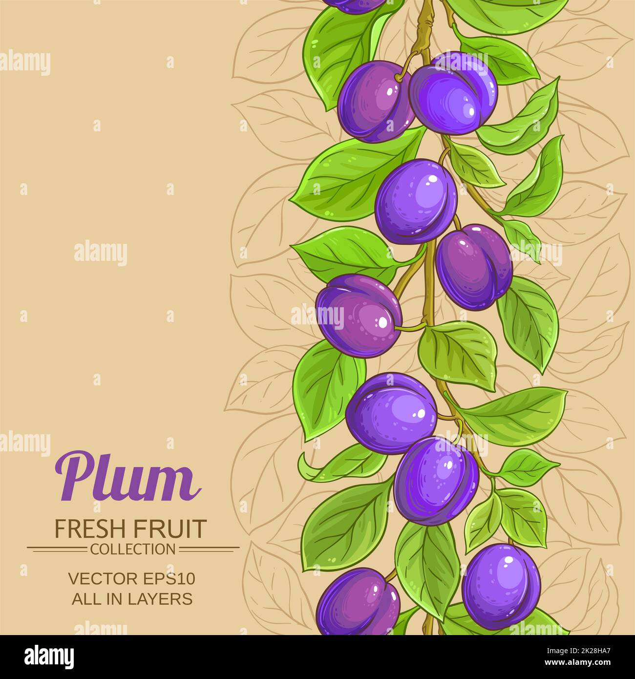 plum vector background Stock Photo - Alamy