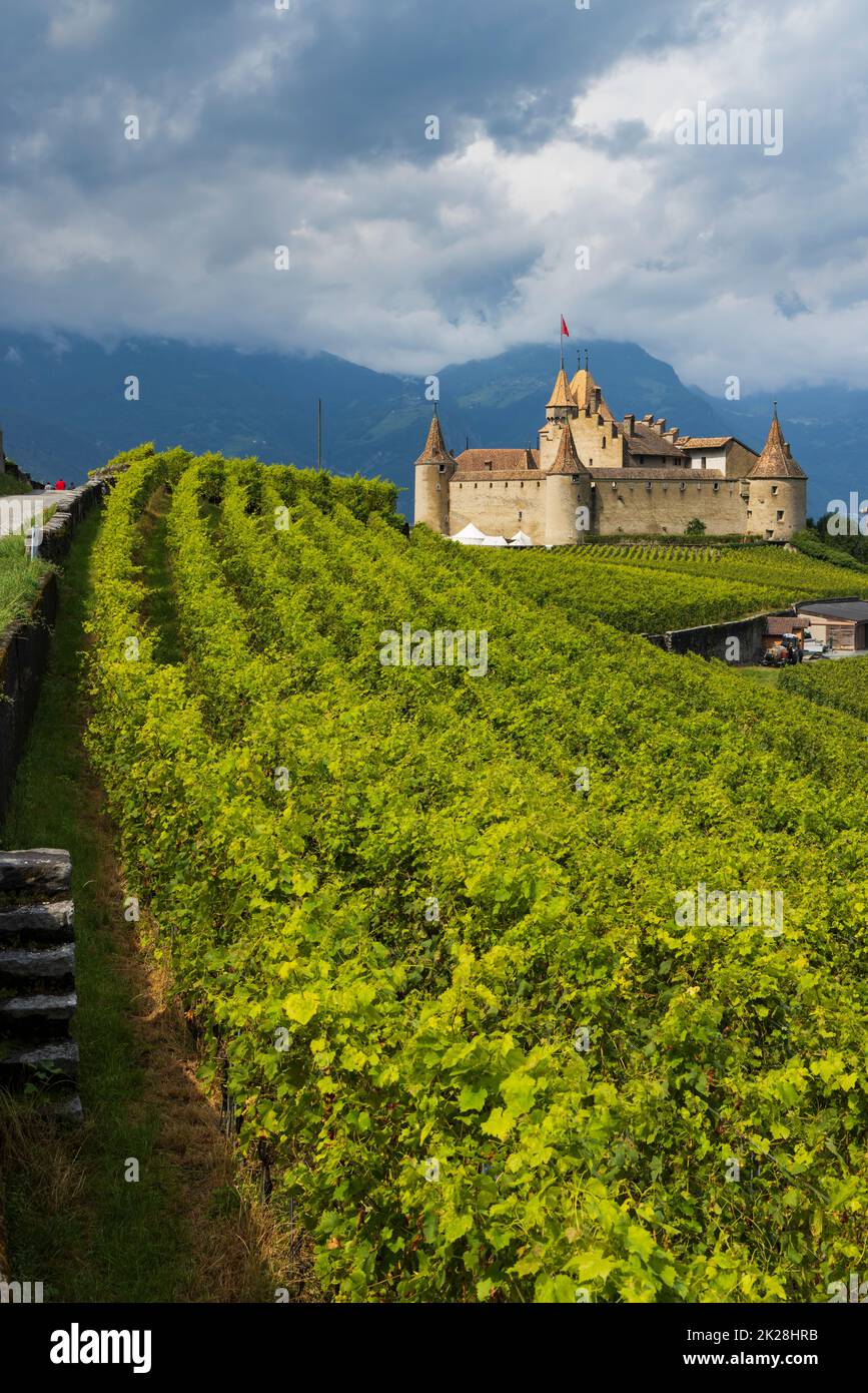 Castle Chateau d'Aigle in canton Vaud, Switzerland Stock Photo - Alamy
