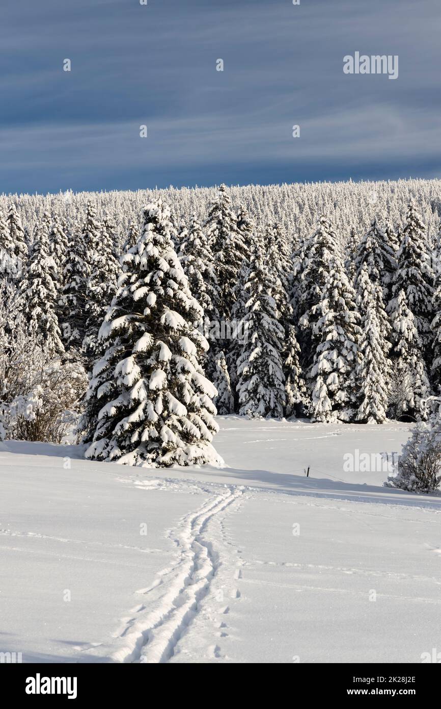 Winter landscape around Mala Upa, Giant Mountains (Krkonose), Eastern ...
