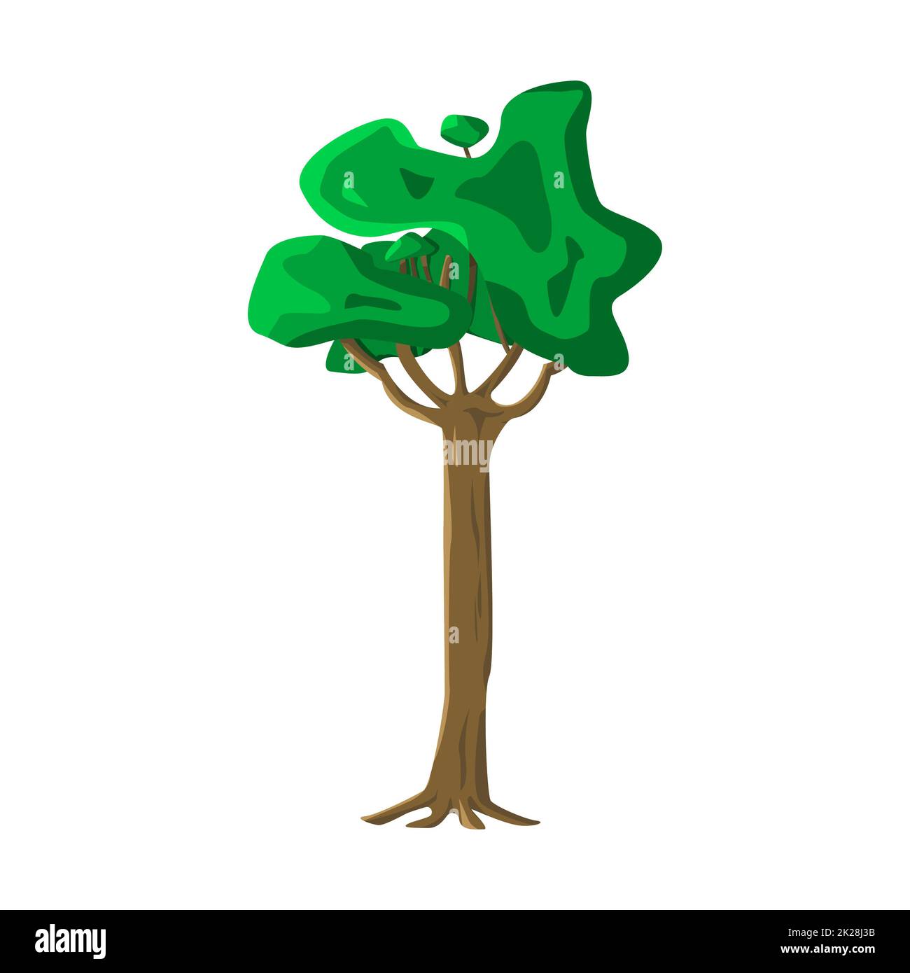Realistic green old tall tree isolated on white background - Vector ...