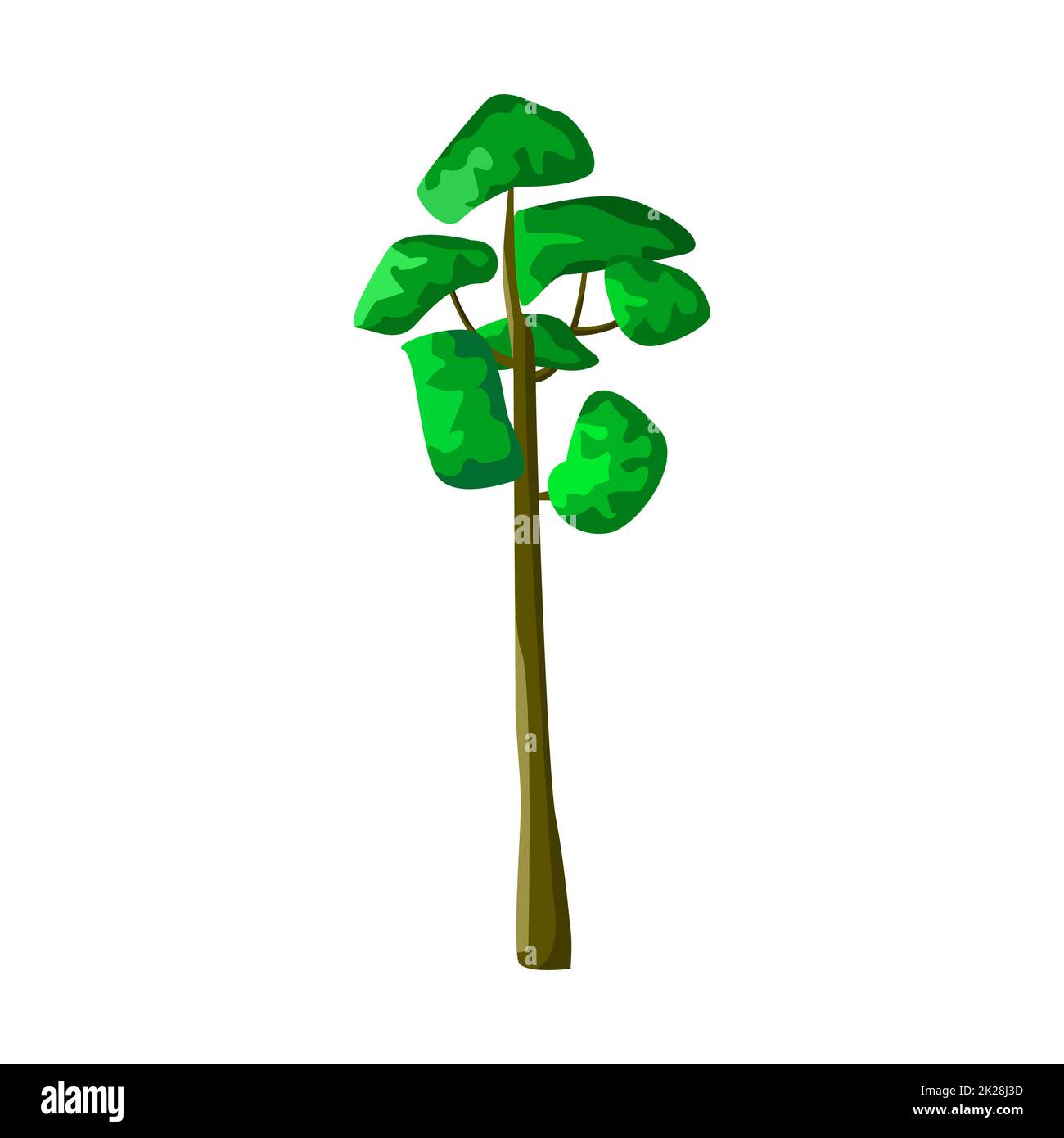 Realistic green old tall tree isolated on white background - Vector ...