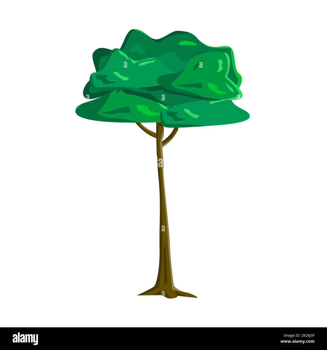Realistic green old tall tree isolated on white background - Vector ...