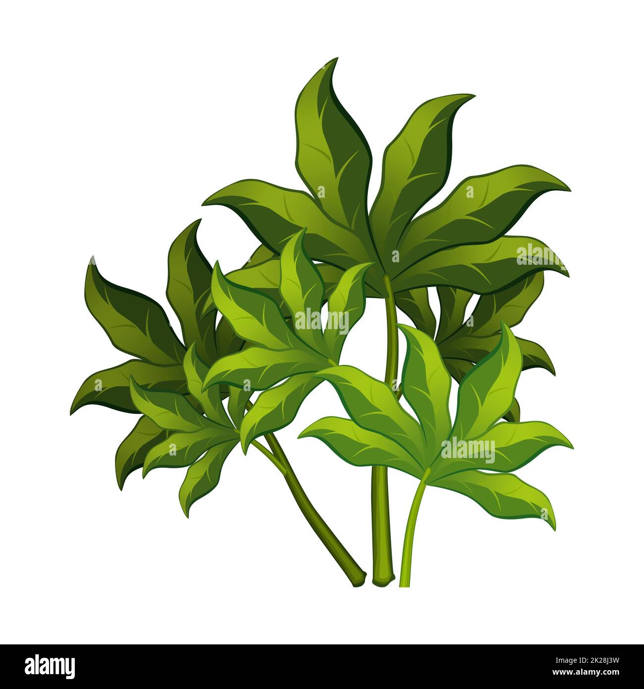 Realistic green bushes on white background - Vector Stock Photo - Alamy