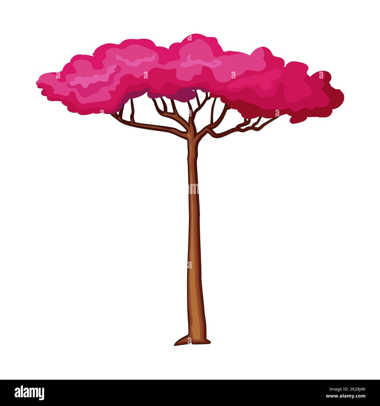 Realistic green old tall tree isolated on white background - Vector ...