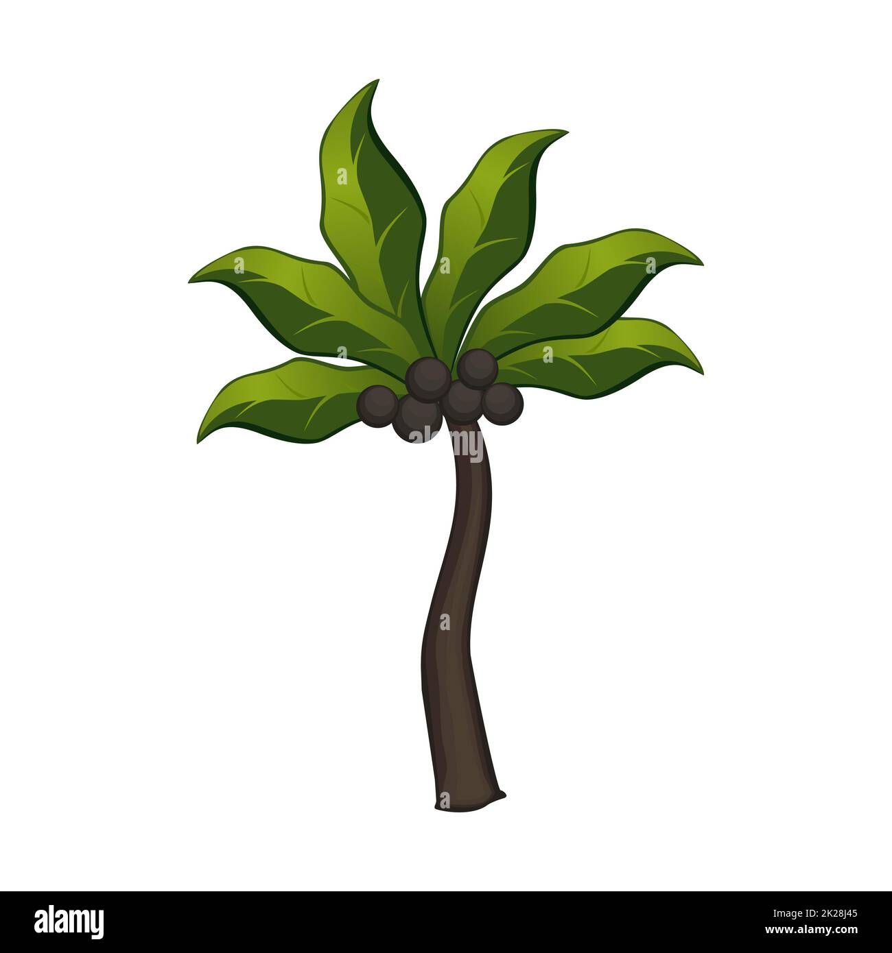 Realistic green palm isolated on white background - Vector Stock Photo ...