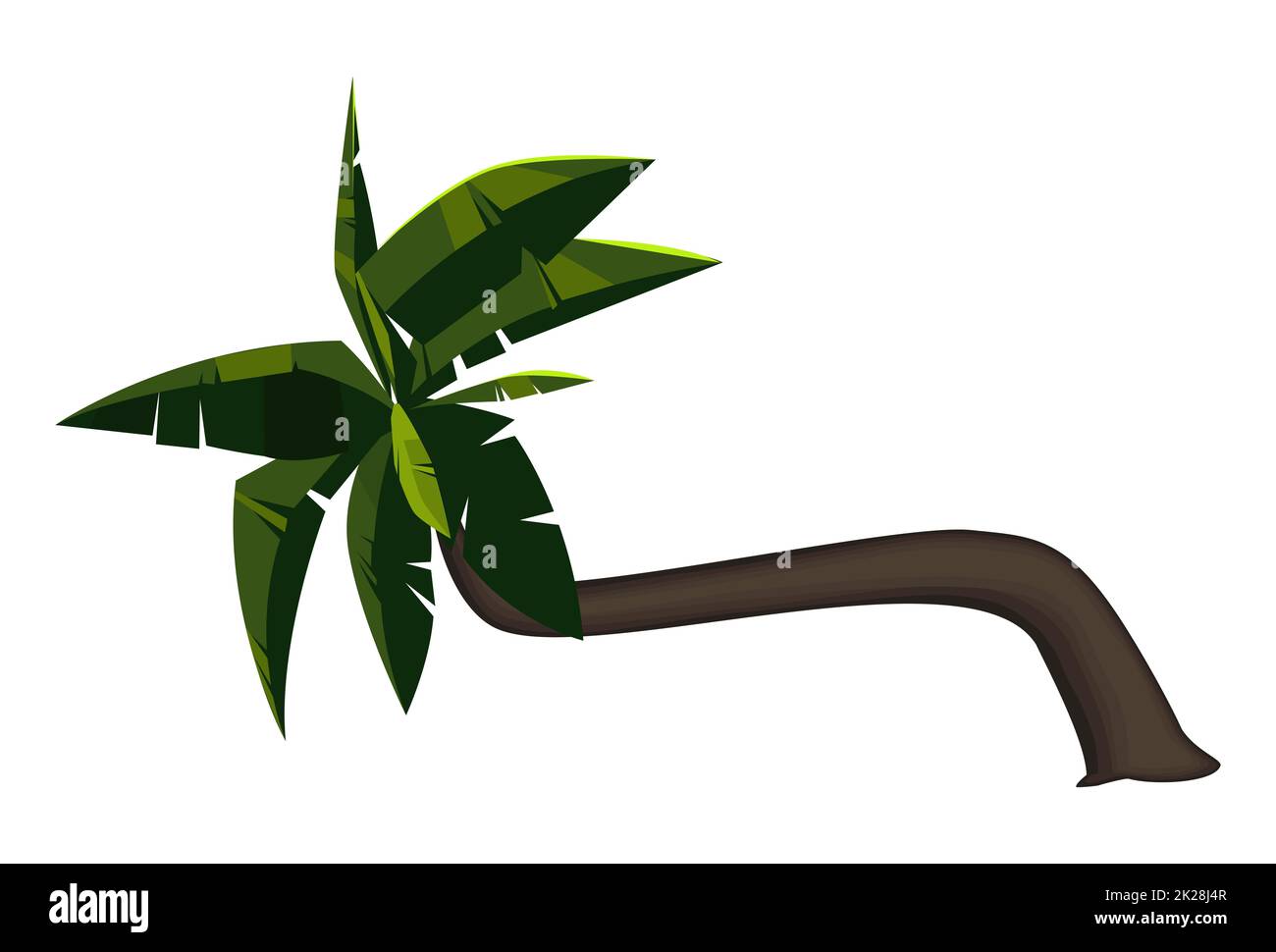 Realistic palm Cut Out Stock Images & Pictures - Alamy