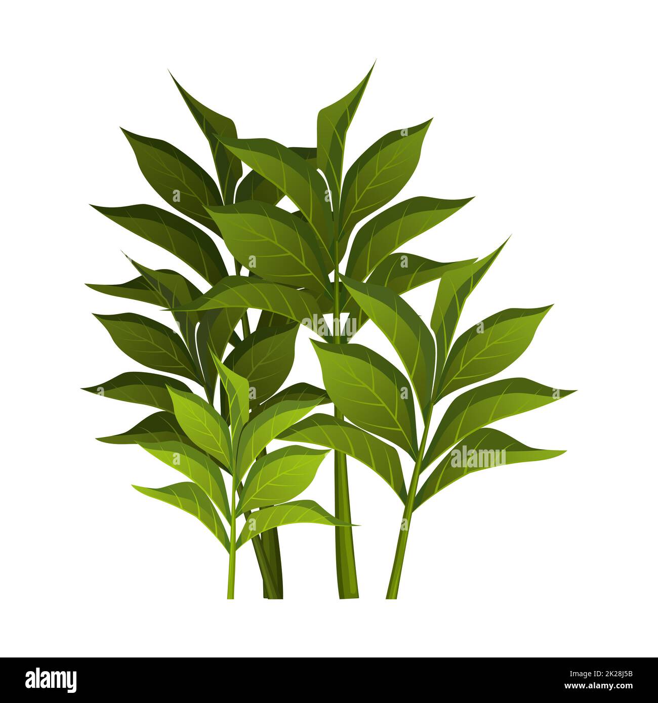 Realistic green bushes on white background - Vector Stock Photo - Alamy