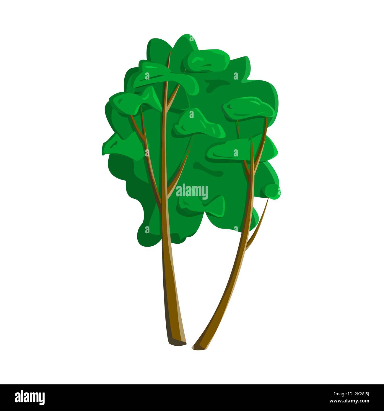 Realistic green palm isolated on white background - Vector Stock Photo ...