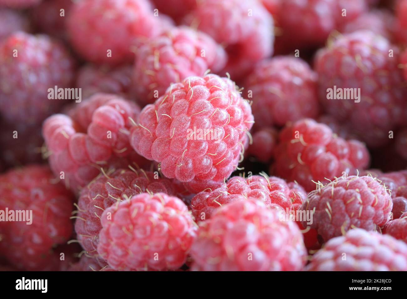 Raspberries background hi-res stock photography and images - Alamy